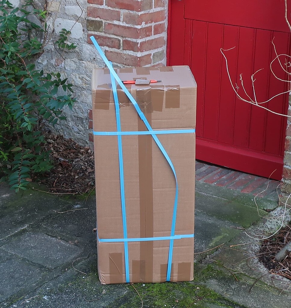 Acer palmatum arakawa (issu de marcotte) - Général - ParlonsBonsai