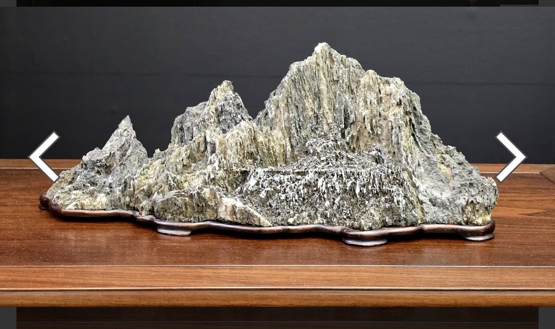 Suiseki or not Suiseki? - Le bonsaï et ses arts associés - ParlonsBonsai