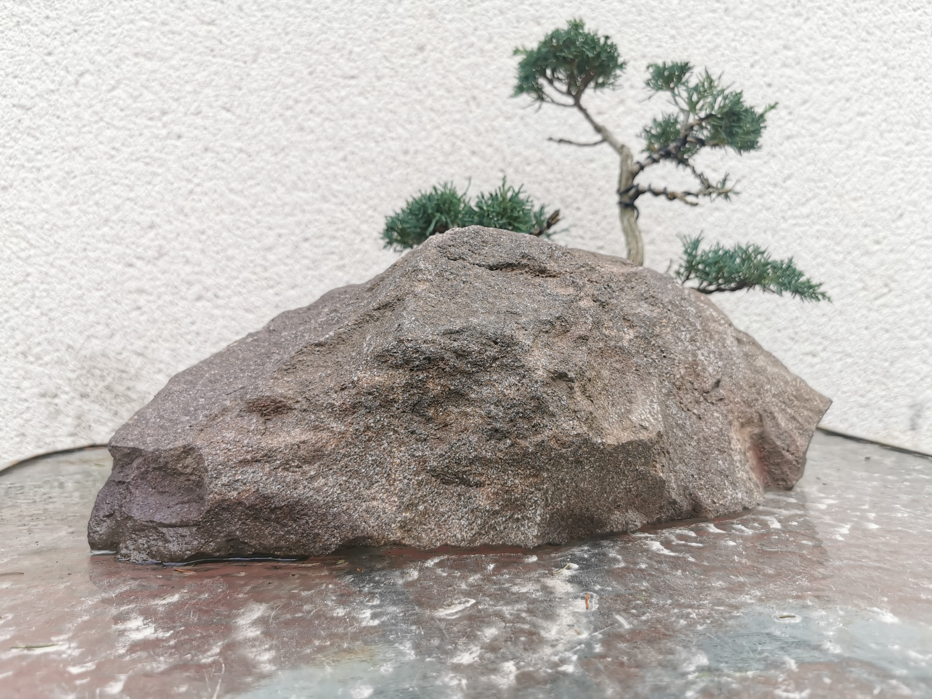 Suiseki or not Suiseki? - Le bonsaï et ses arts associés - ParlonsBonsai